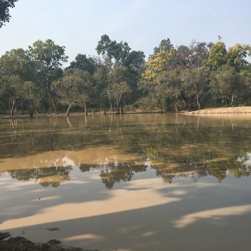 Stream Dechen S Yeshi music | Listen to songs, albums, playlists for ...