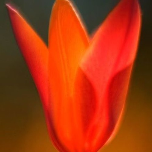 Stream Manoj Siva 3 music | Listen to songs, albums, playlists for free ...