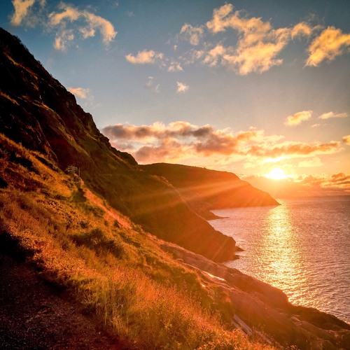 Stream Curious Jord | Listen to podcast episodes online for free on ...