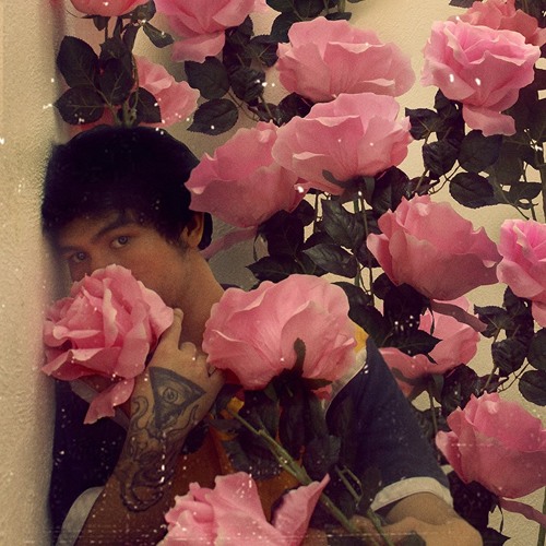 Stream Alisson Shore music | Listen to songs, albums, playlists for ...