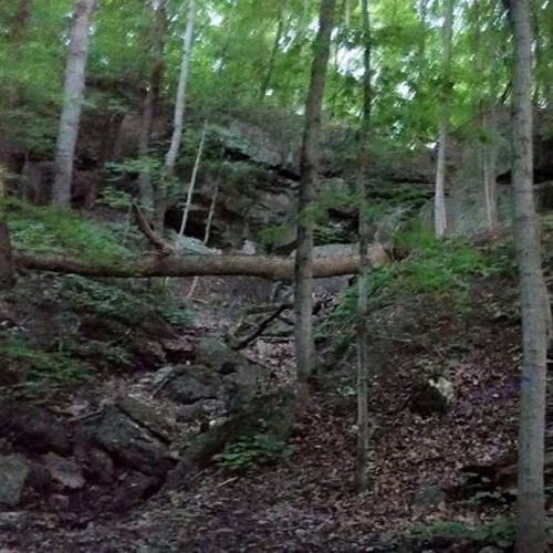 Stream Marcus Gerber music | Listen to songs, albums, playlists for ...