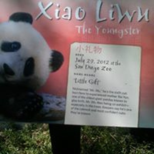 Stream Vicente Federico Jr. music | Listen to songs, albums, playlists ...