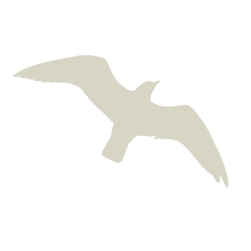 Stream Blackbird Bullet music | Listen to songs, albums, playlists for ...