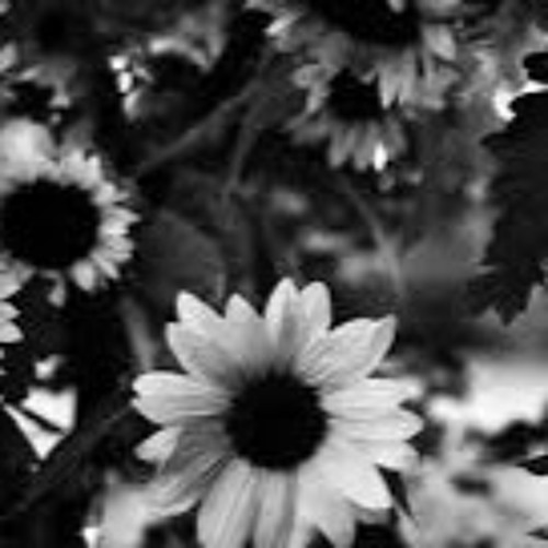 Stream Bella Barnes music | Listen to songs, albums, playlists for free ...