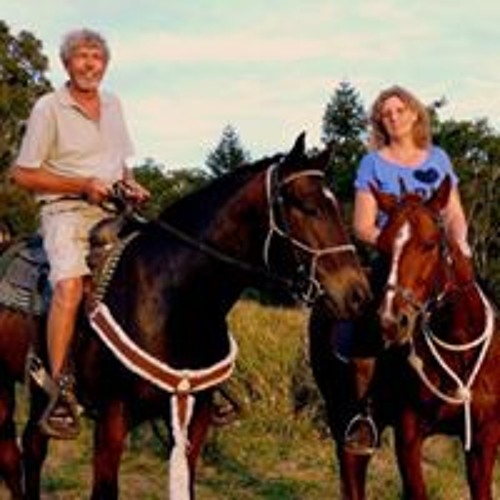 Stream Ole Emil Hansen music | Listen to songs, albums, playlists for ...