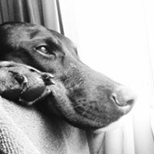 Stream Nukles music | Listen to songs, albums, playlists for free on ...