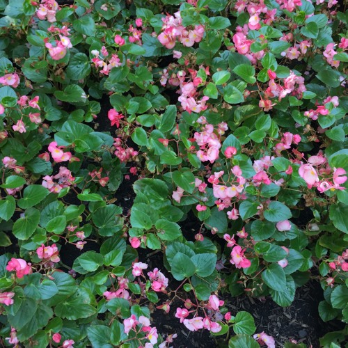 Stream Eric Partika music | Listen to songs, albums, playlists for free ...