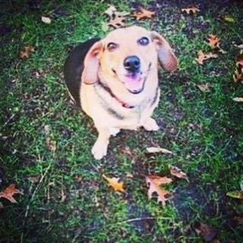 Stream Savannah Swanson music | Listen to songs, albums, playlists for ...