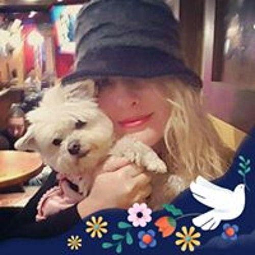 Stream Jimmy And The Hawk Audio by Milan-Devi LaBrey | Listen online ...