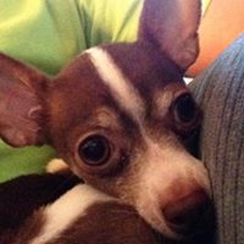 Stream Tuned Trap by Ethan Cochran | Listen online for free on SoundCloud