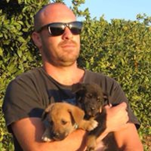 Stream Shay Levi music | Listen to songs, albums, playlists for free on ...