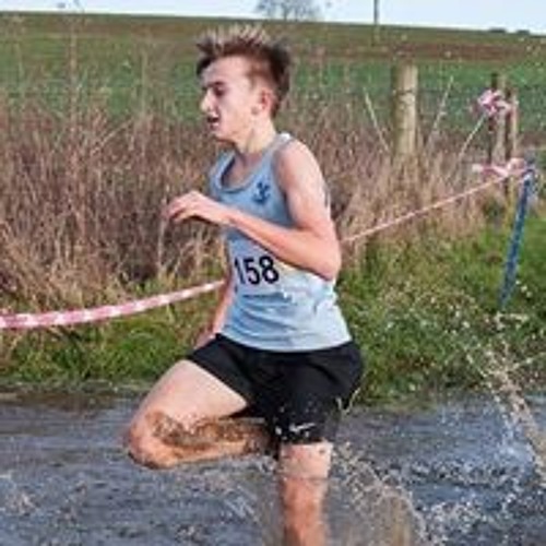 Stream Archie Rainbow music | Listen to songs, albums, playlists for ...