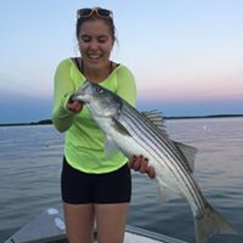 Stream Chloe Daikh music | Listen to songs, albums, playlists for free on SoundCloud