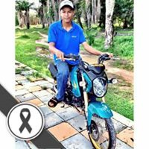 Stream Art Record music | Listen to songs, albums, playlists for free ...