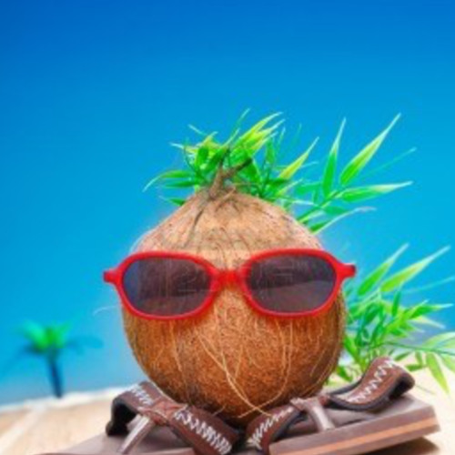 Stream Cool Coconut music | Listen to songs, albums, playlists for free ...