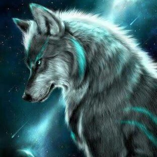 Stream Walf Tube music | Listen to songs, albums, playlists for free on ...