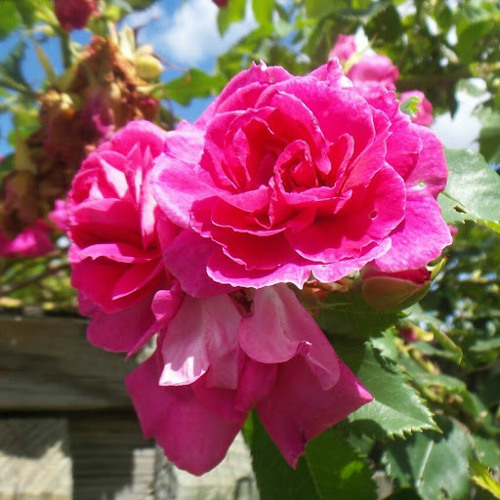 Stream may f music | Listen to songs, albums, playlists for free on ...