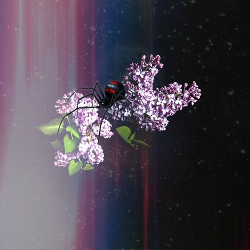 Stream BBO music | Listen to songs, albums, playlists for free on ...