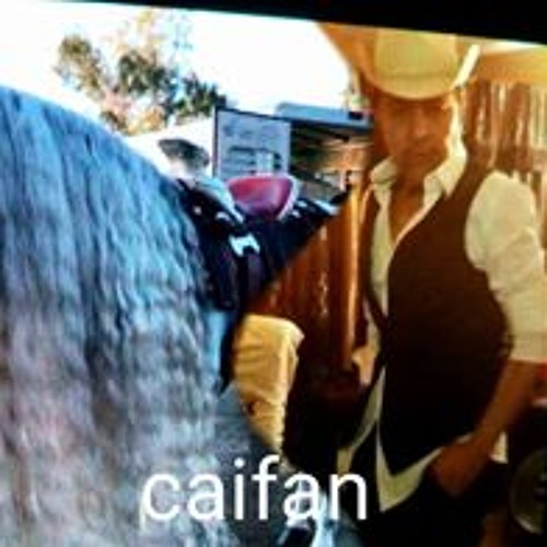 Stream Caifan Flores music | Listen to songs, albums, playlists for ...