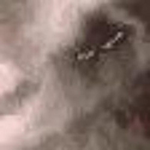 Stream EchoGriffy music | Listen to songs, albums, playlists for free ...