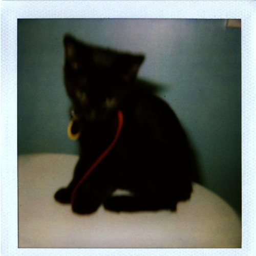 Stream Alex Behr / stories and music music | Listen to songs, albums ...