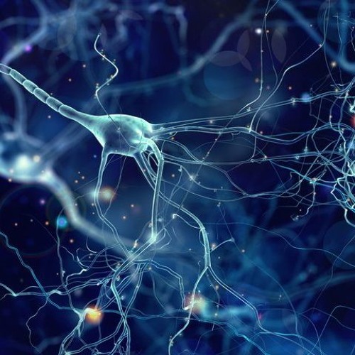 Stream Neuron music | Listen to songs, albums, playlists for free on ...