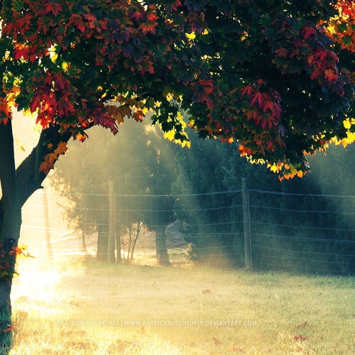 Stream Chithra Raju music | Listen to songs, albums, playlists for free ...