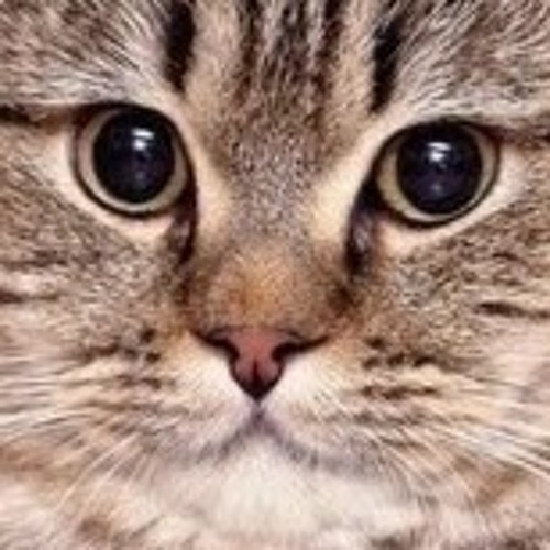 Stream Abom Rumpelstiltskin music | Listen to songs, albums, playlists ...