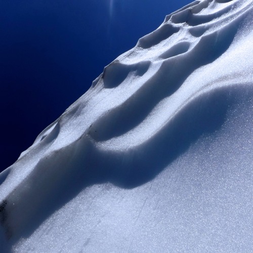 Stream Lion Chasing Water Buffalo by darin schaffer | Listen online for ...