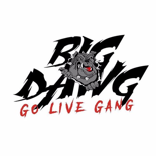 Stream BIG DAWG GO LIVE GANG music | Listen to songs, albums, playlists ...