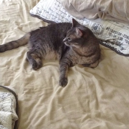 Stream Erik Neal music | Listen to songs, albums, playlists for free on ...
