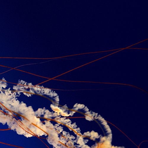 Stream Ash Piff's (Under Ground Prince) music | Listen to songs, albums ...