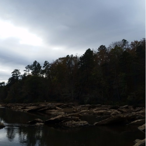 Stream Michelle Flory music | Listen to songs, albums, playlists for ...