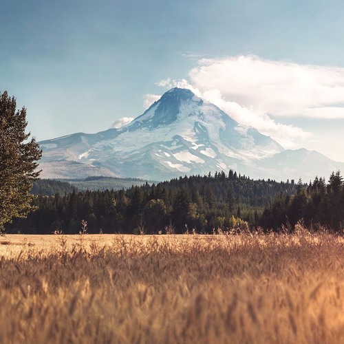 Stream Danny Tan music | Listen to songs, albums, playlists for free on ...