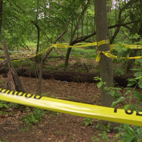 Stream SSD4 Superior Gclip Test by Rob Loyst | Listen online for free ...