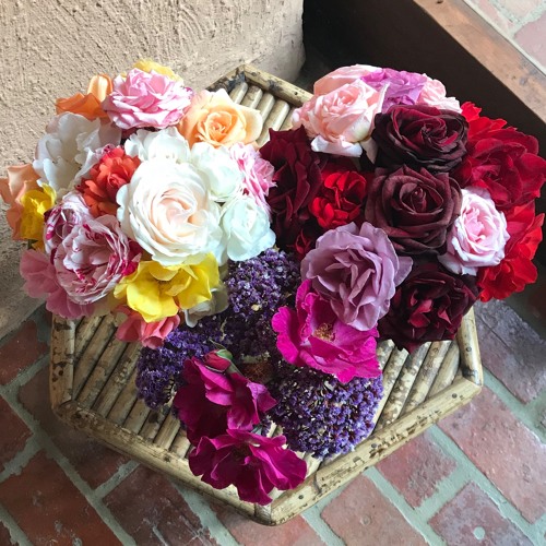 Stream Elle Cecil music | Listen to songs, albums, playlists for free ...