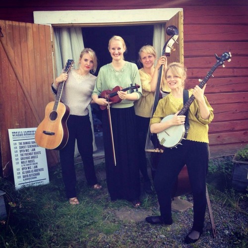 Stream Molly Moses & the Country Cousins music | Listen to songs ...