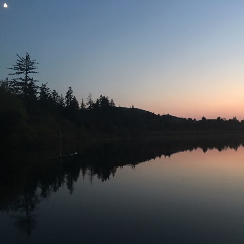 Stream Matt Scocca music | Listen to songs, albums, playlists for free ...