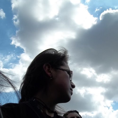 Stream Plans In 5 Years[1] by lucero galvan | Listen online for free on ...