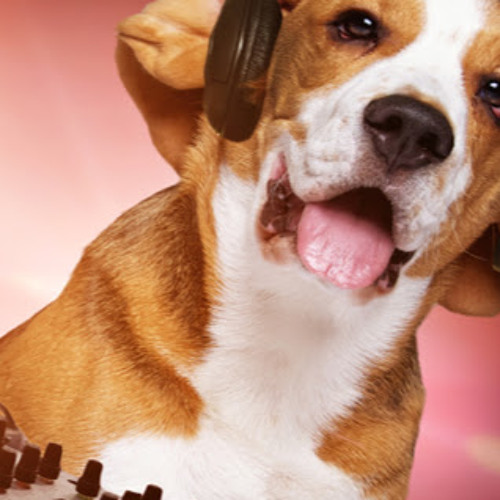 Stream Dogs Bass Boost music | Listen to songs, albums, playlists for ...