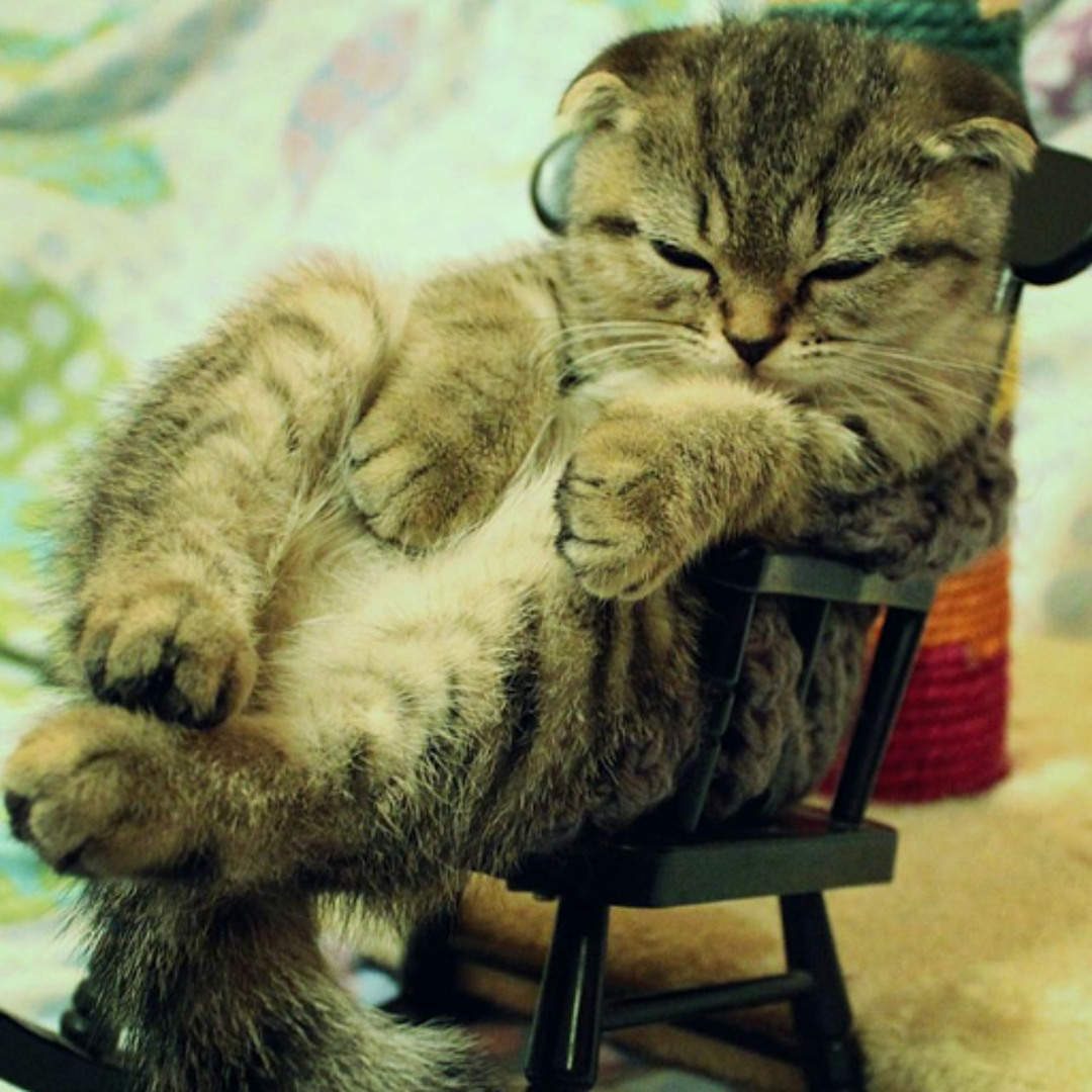 Stream Gachimuchi - ♂WE♂ARE♂NUMBER♂ONE♂ by Дмитрий react_on | Listen ...