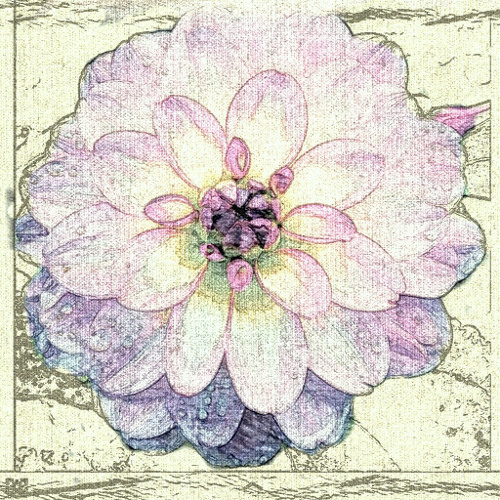 Stream Chiara Hunter music | Listen to songs, albums, playlists for ...