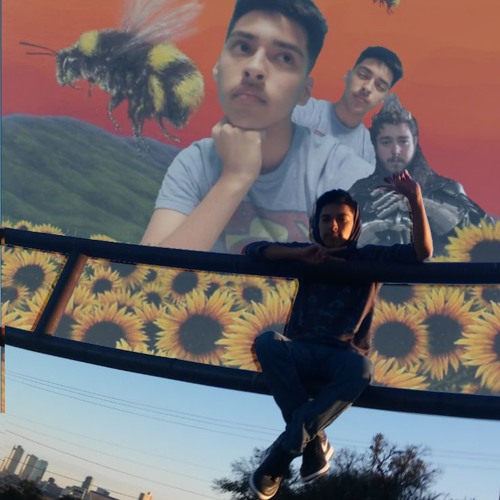 Stream Lil R music | Listen to songs, albums, playlists for free on ...