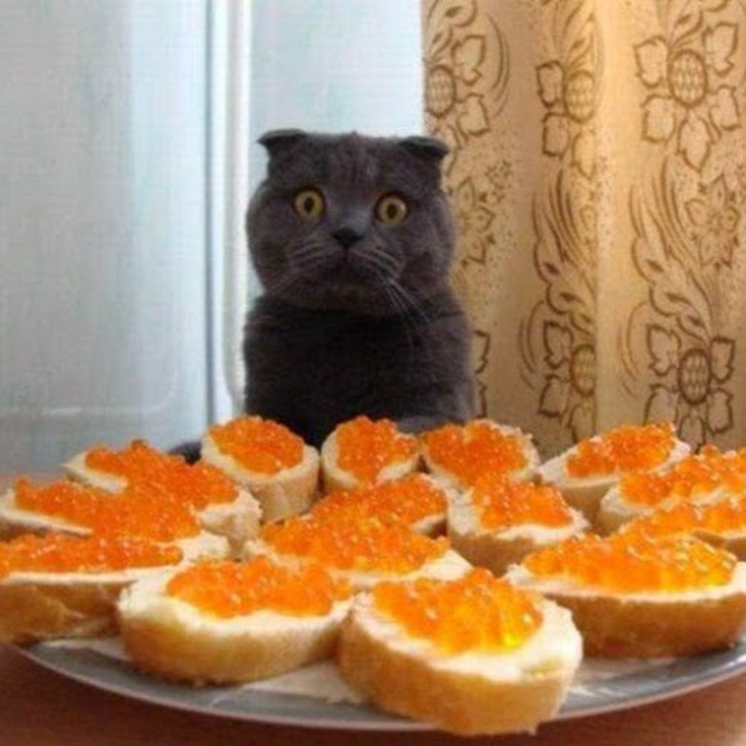 Stream ZXFG music | Listen to songs, albums, playlists for free on ...