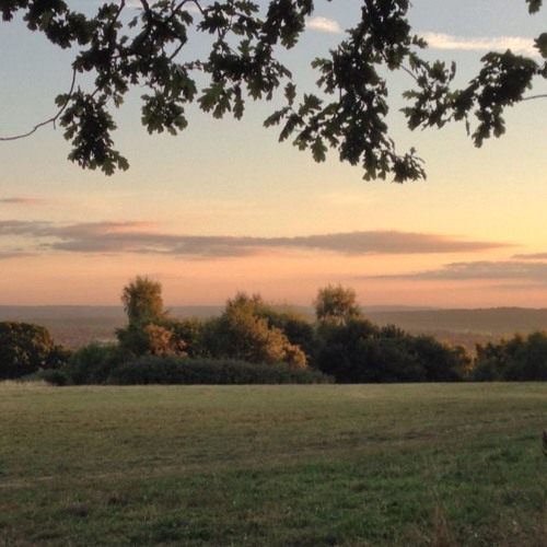 Stream Robin Hatton music | Listen to songs, albums, playlists for free ...