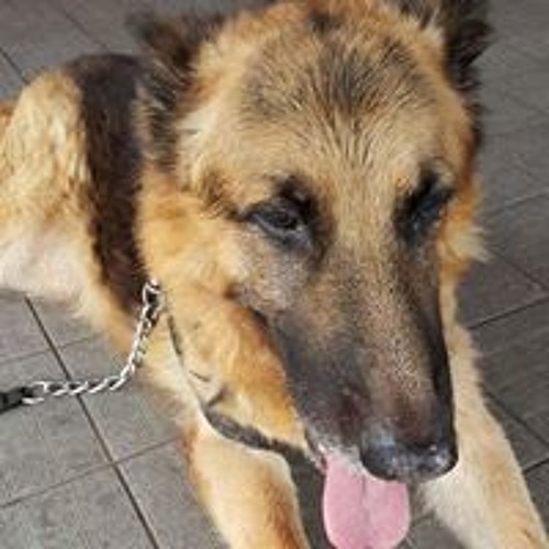 Stream Ellie-Mae Boagey music | Listen to songs, albums, playlists for ...