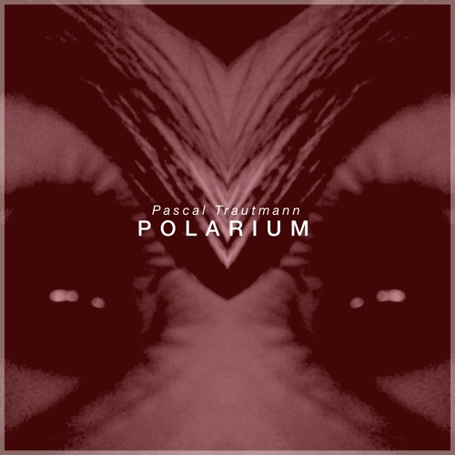 Stream Pascal Trautmann Peak music | Listen to songs, albums, playlists for free on SoundCloud