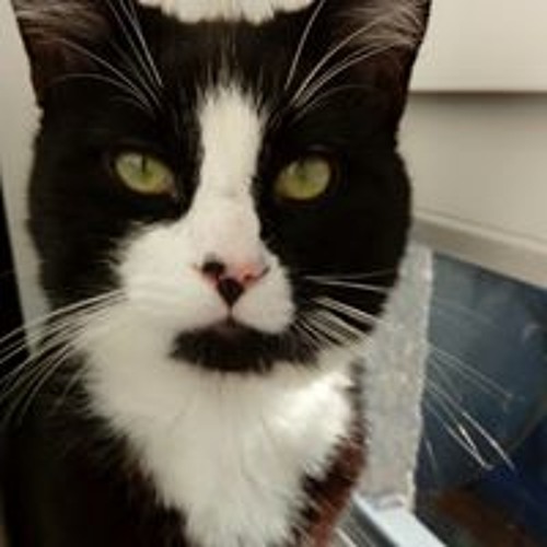 Stream Hailie Smith | Listen to song playlist online for free on SoundCloud