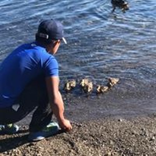 Stream Elliott Christoph music | Listen to songs, albums, playlists for ...