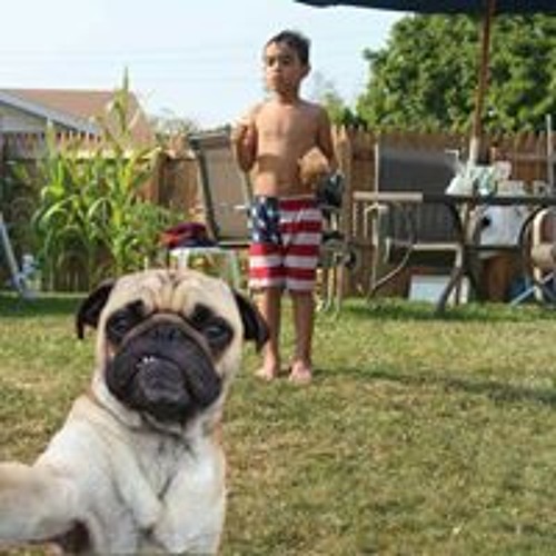 Stream Christopher Peralta music | Listen to songs, albums, playlists for free on SoundCloud